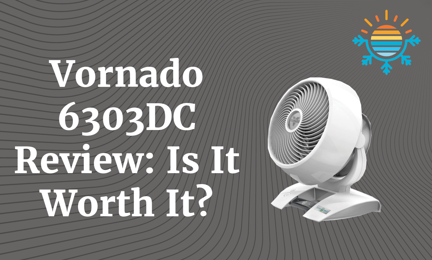 Vornado 6303DC Review: Is It Worth It? – Temperature Master