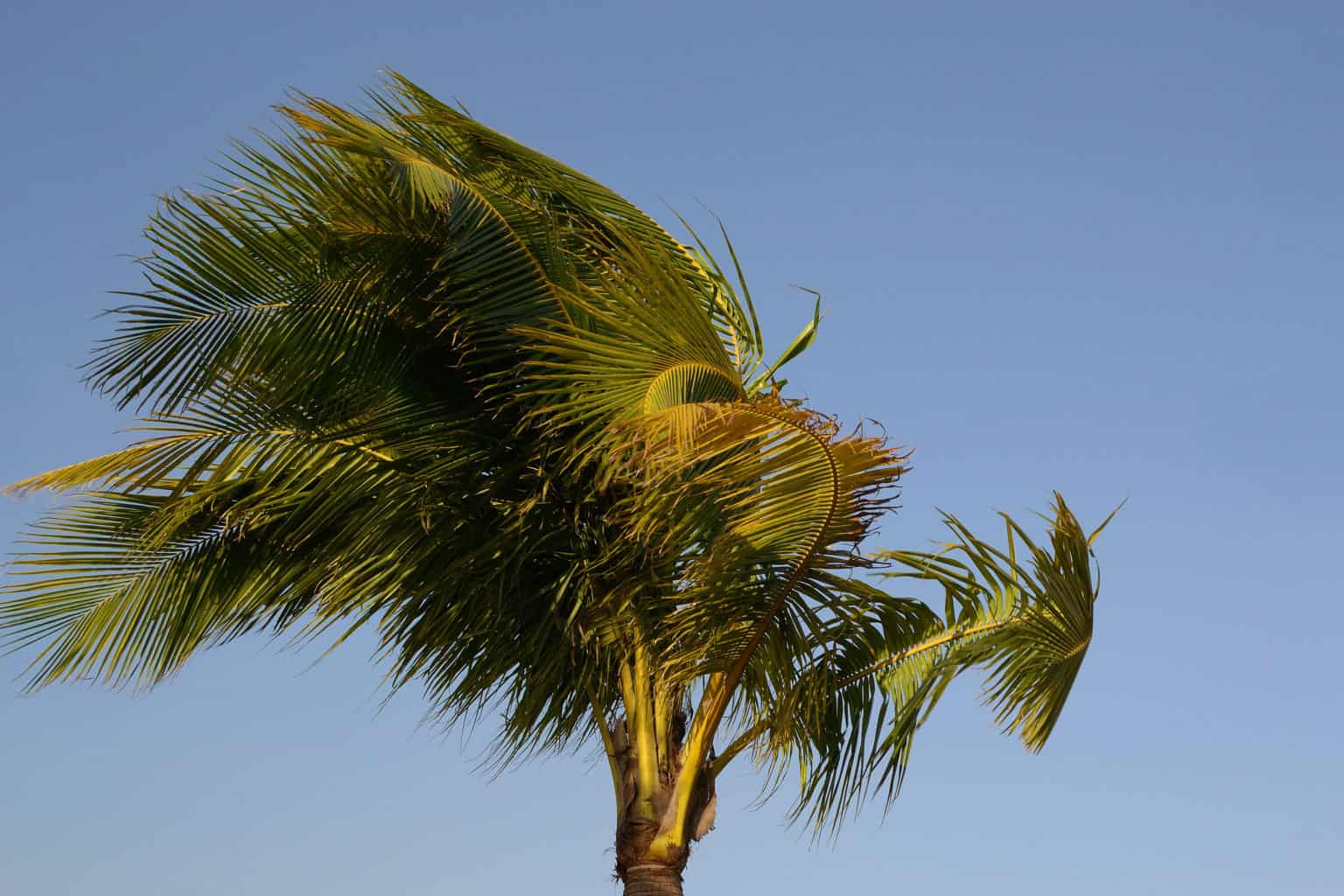 Discover the reasons on why does cold air sink.