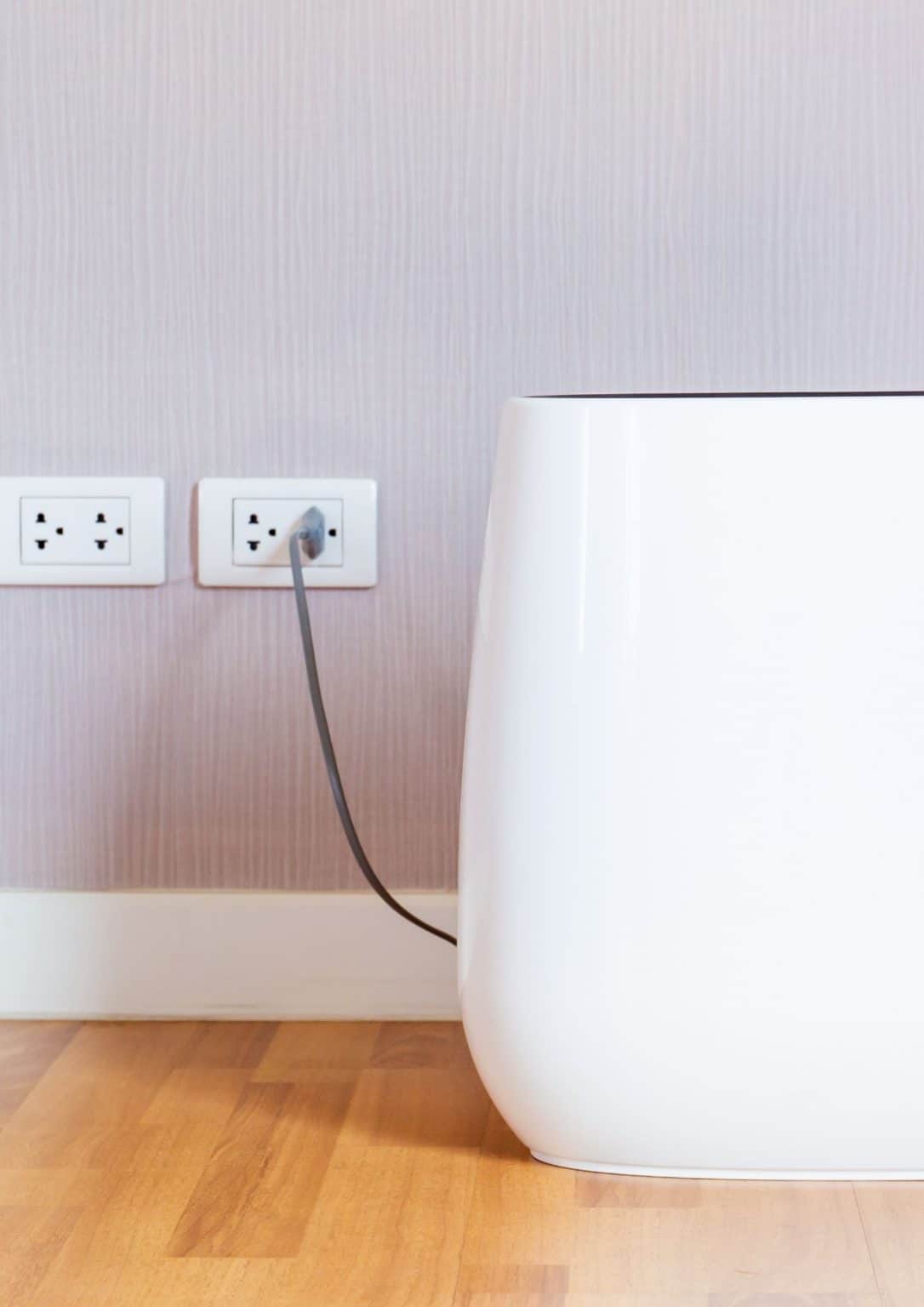 7 Best Mini Dehumidifiers | Temperature Master