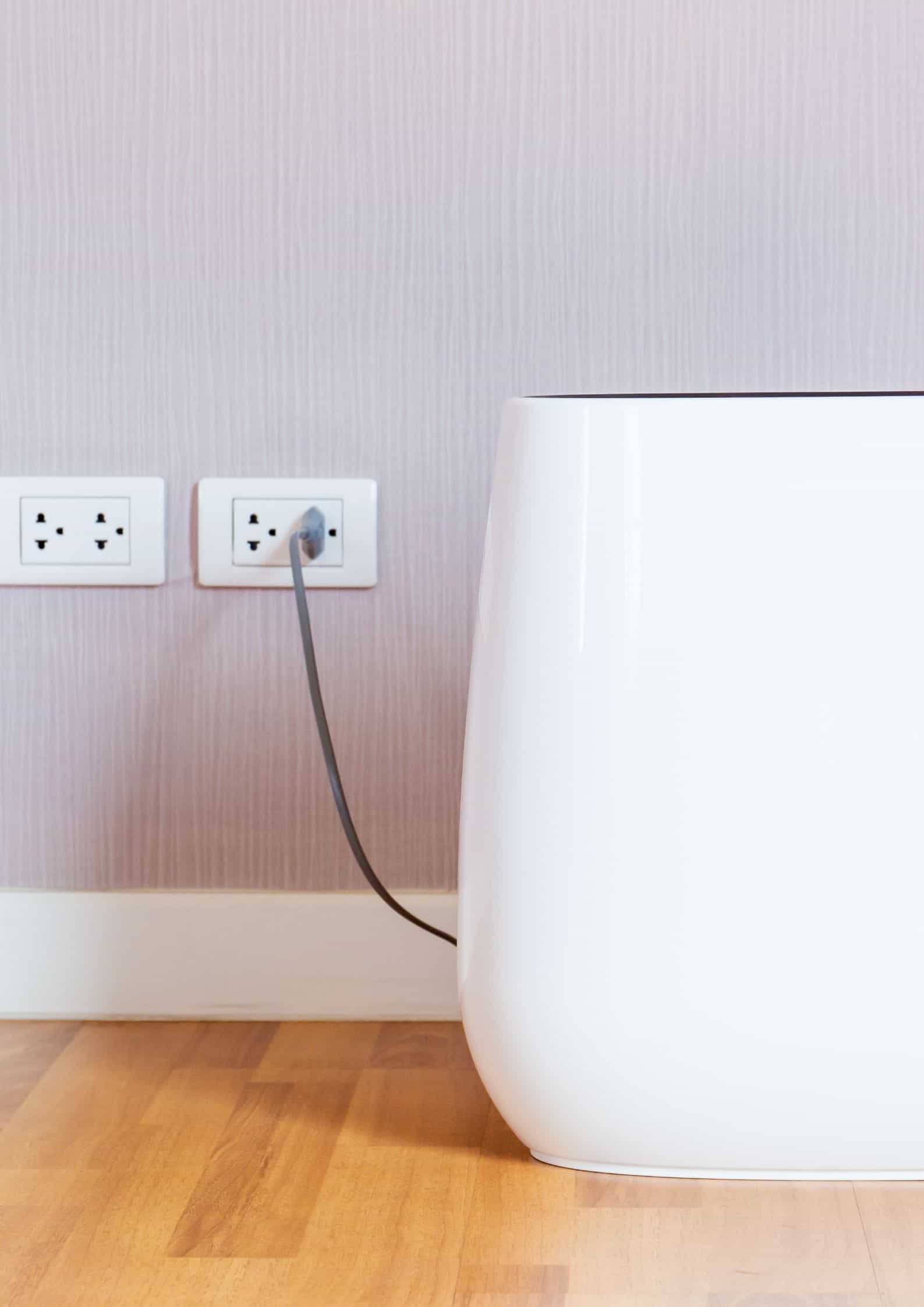 7 Best Mini Dehumidifiers | Temperature Master