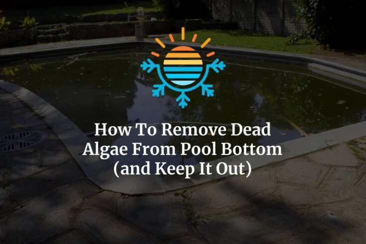 Eliminate Pool Bottom Algae and Prevent Reoccurrence